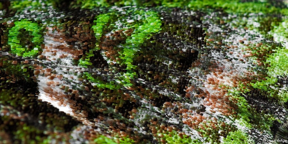 Varnish and Microservices: Introducing zipnish