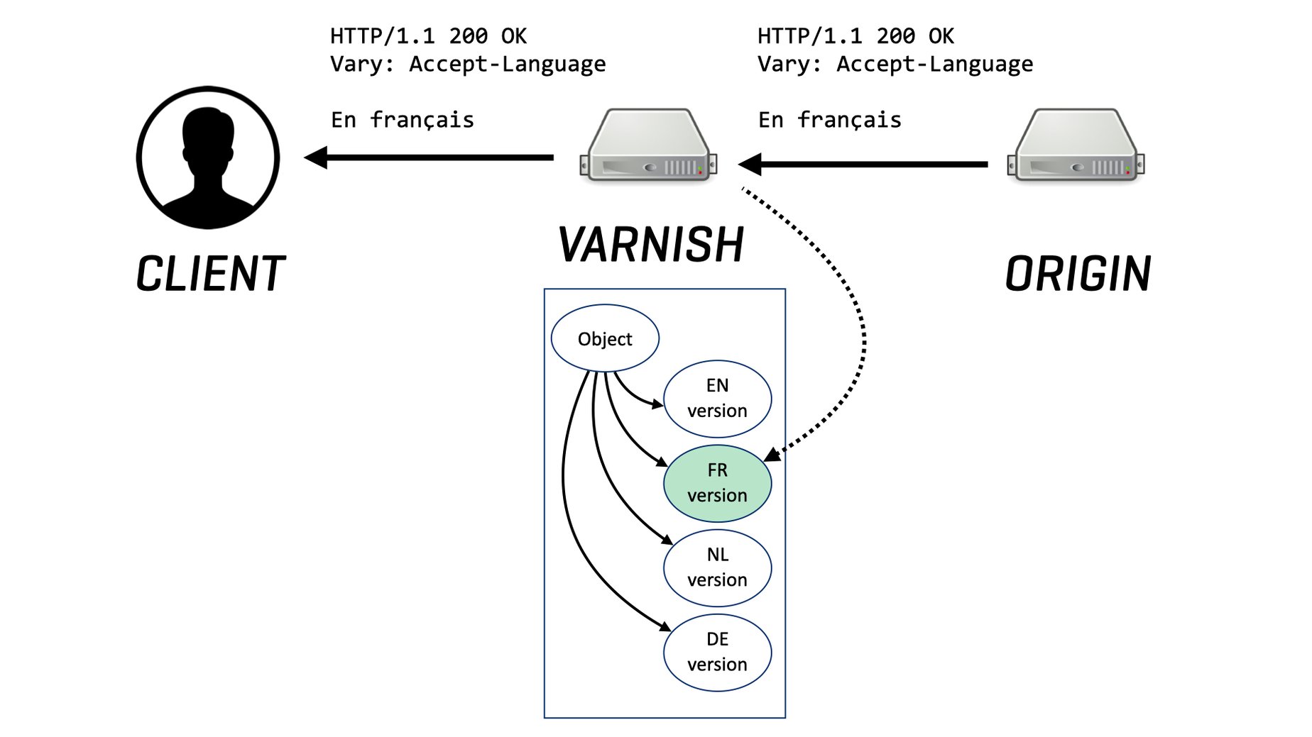 VMOD in the spotlight: accept