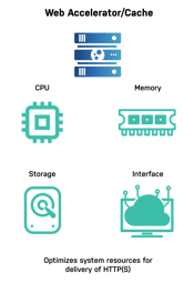 Understanding the Differences Between NGINX and Varnish