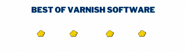 Varnish Software - year in review