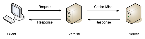 Varnish Web Developer Wiki Highlights: Installing Varnish on Ubuntu